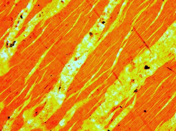 Perthite and Perthitic Texture | Earth Know