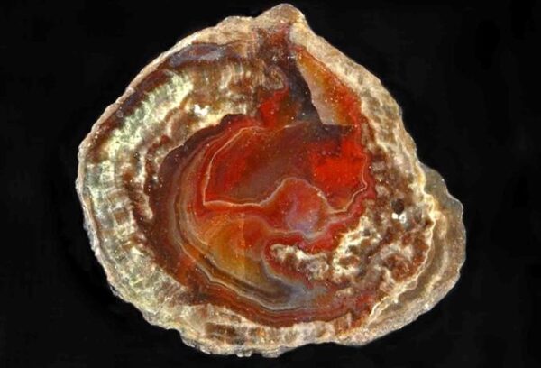 Geodes vs. Thundereggs, Nodules, Concretions, and Vugs | Earth Know