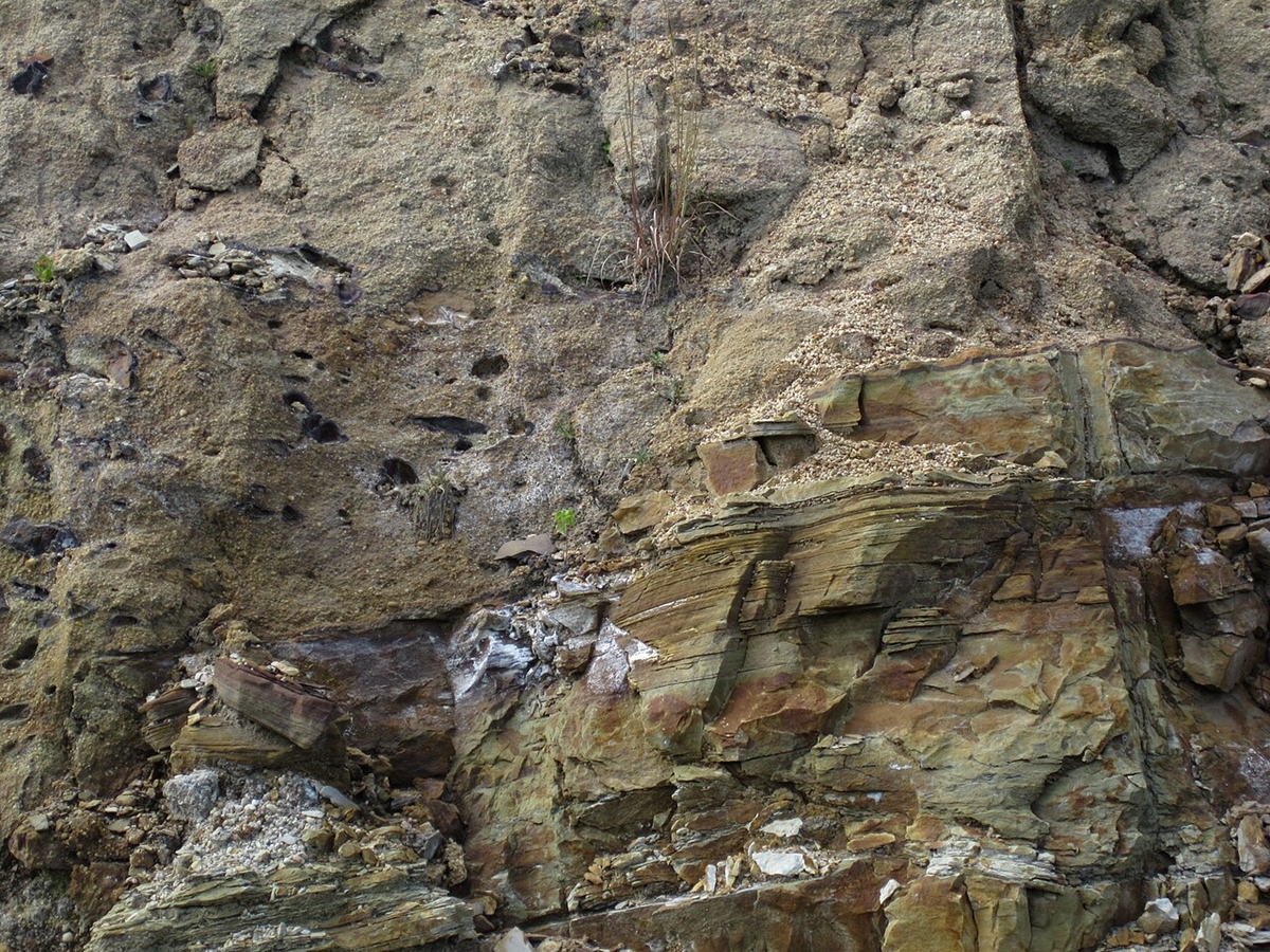 Meaning of Unconformity in Geology, Formation and Types | Earth Know